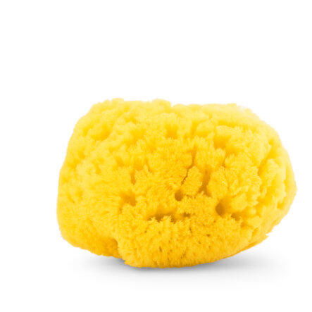 Marine Sponge - Kika Toys - Clothes, educational toys and children's ...